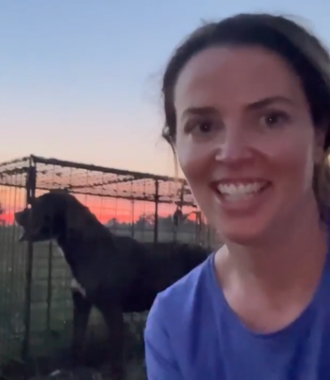 Animal Institute - 100% volunteer, 501(c)(3) charitable nonprofit ...