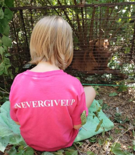 Animal Institute - 100% volunteer, 501(c)(3) charitable nonprofit ...